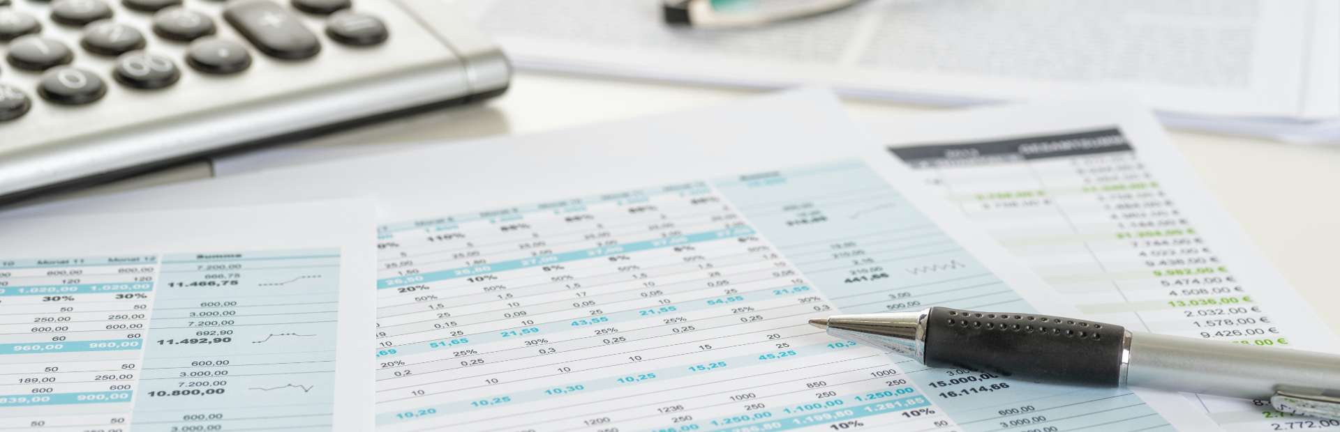 Kompetenz » Steuerrecht • STRITTER SCHWARZ